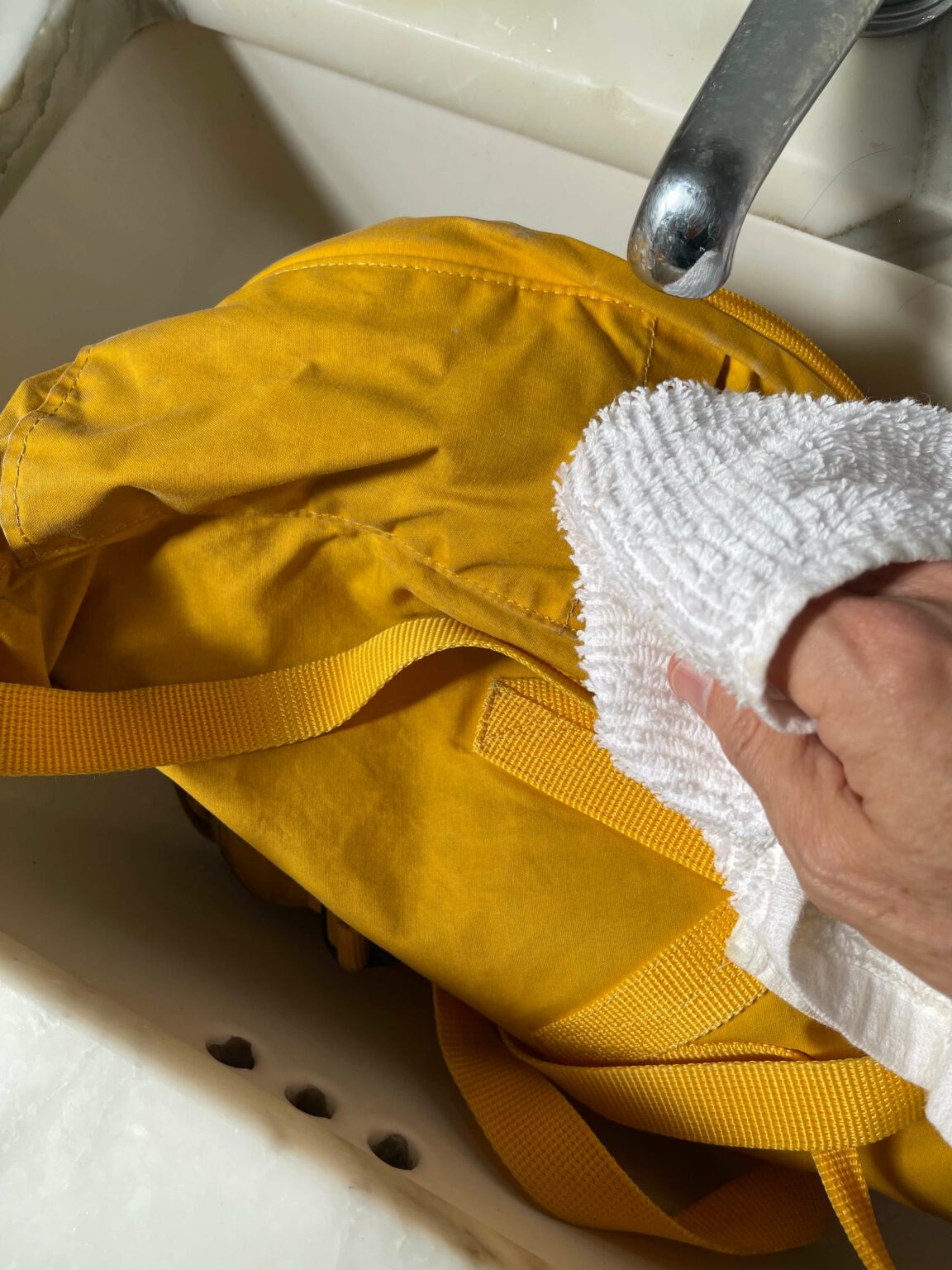 My Backpack Smells Like Mold…Now What? Our Simple 6 Step Guide to Clean ...